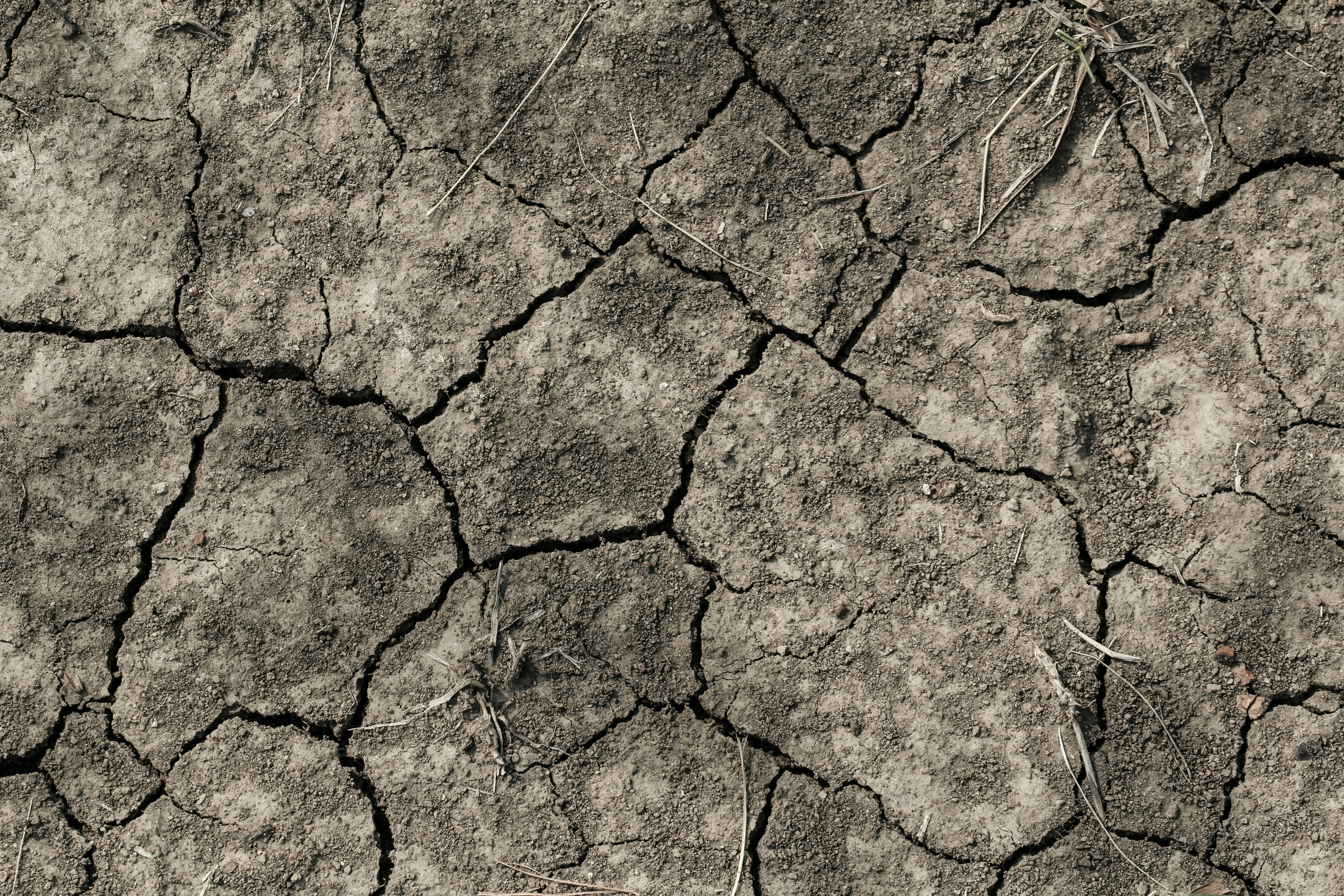 The Rise in Unnatural Disasters: Drought | The Climate Reality Project