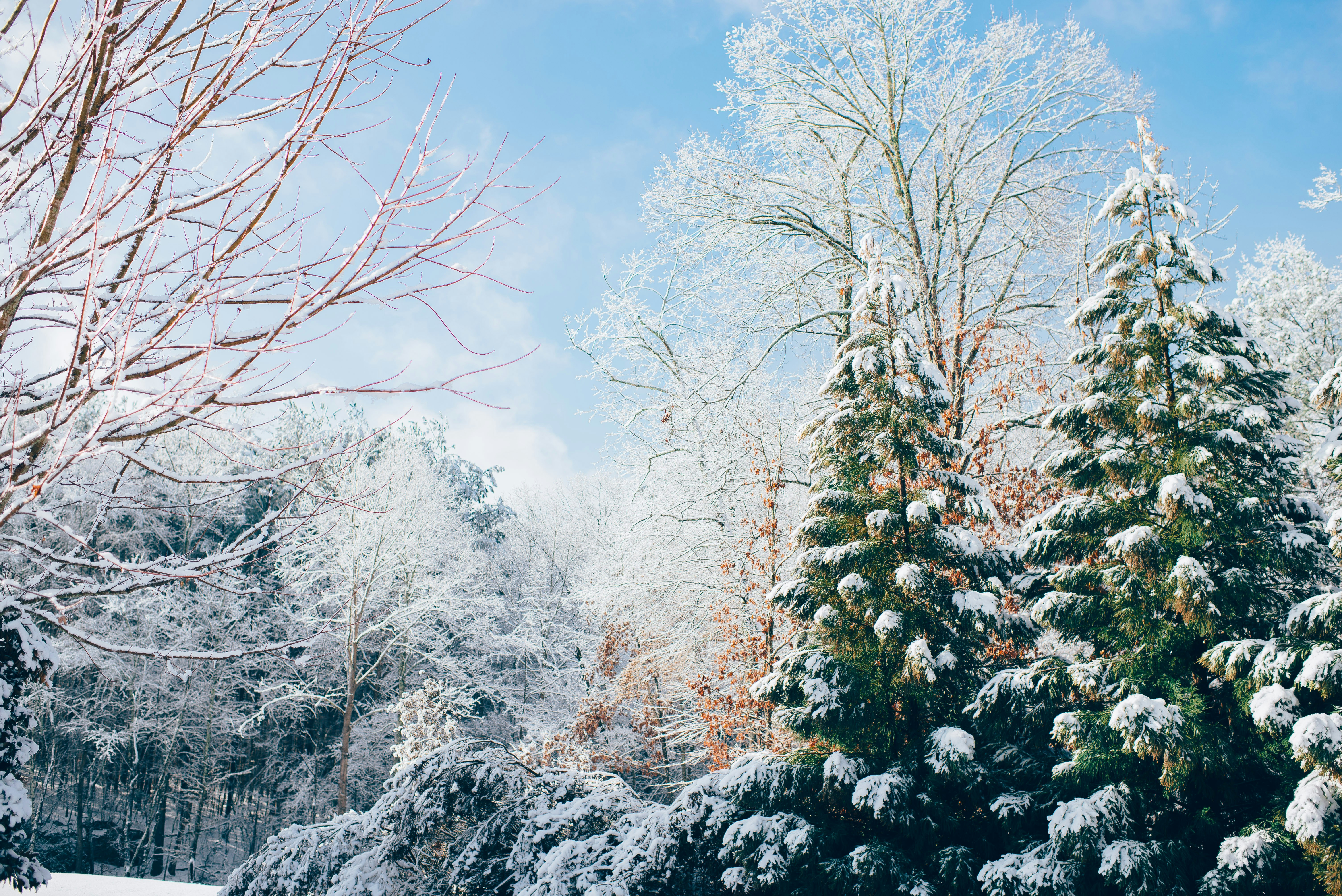 Super Cold? Thank the Climate Crisis | The Climate Reality Project