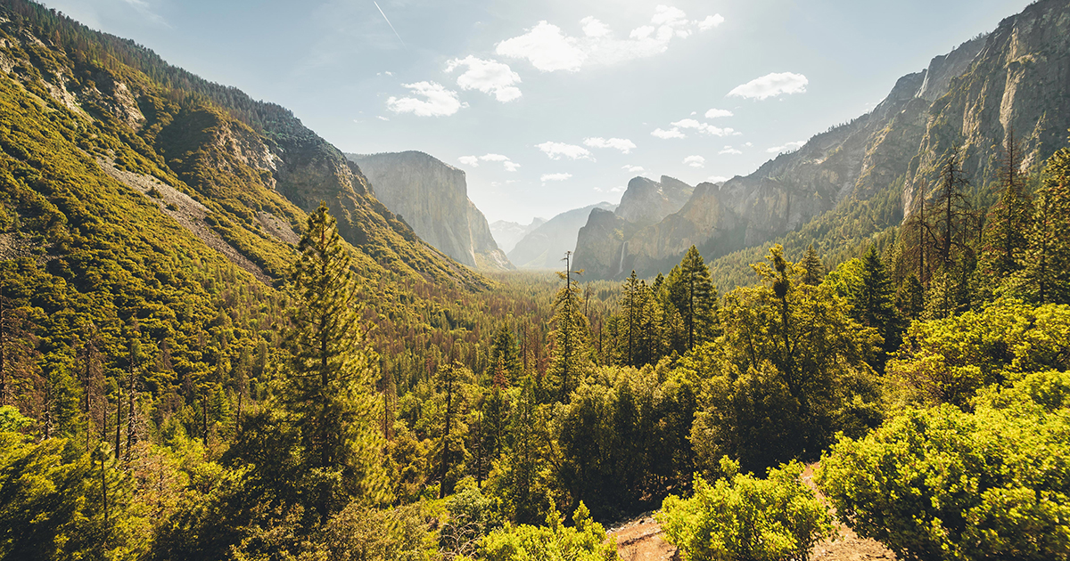 Our Public Lands Should Be at the Forefront of Climate Solutions | The ...