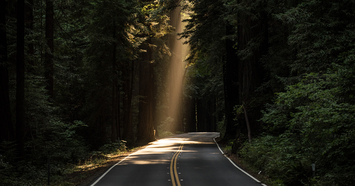 9 Reasons to Have Climate Hope in 2020 | The Climate Reality Project