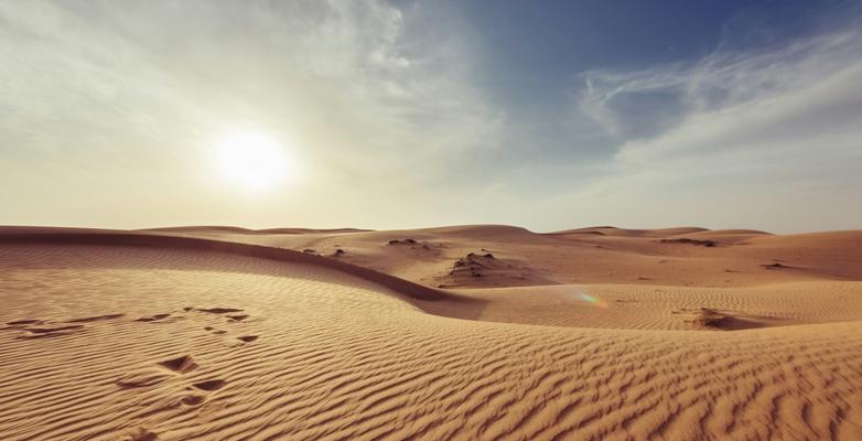 What is Desertification? | The Climate Reality Project